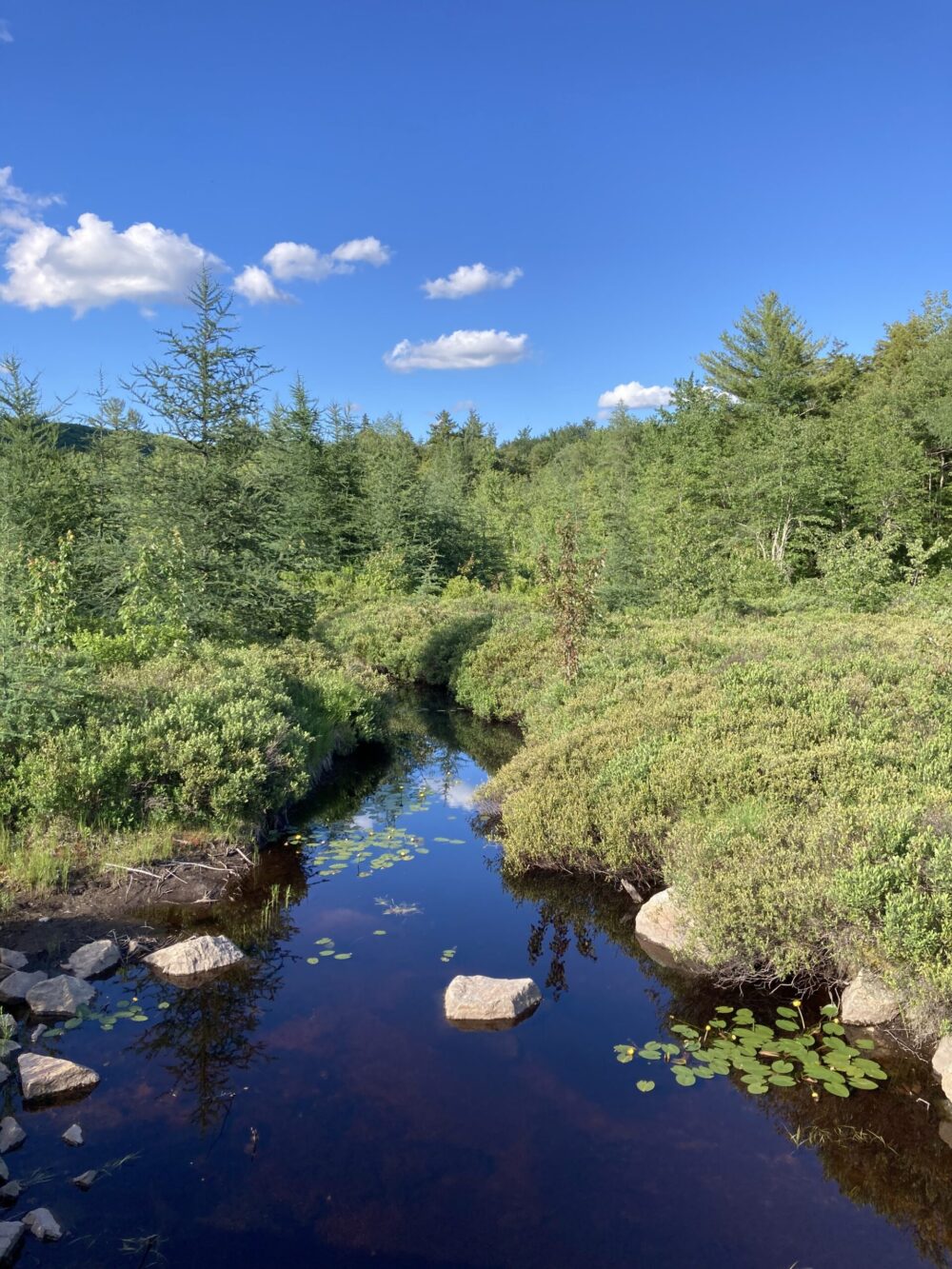 Photo Gallery – Town of Sharon